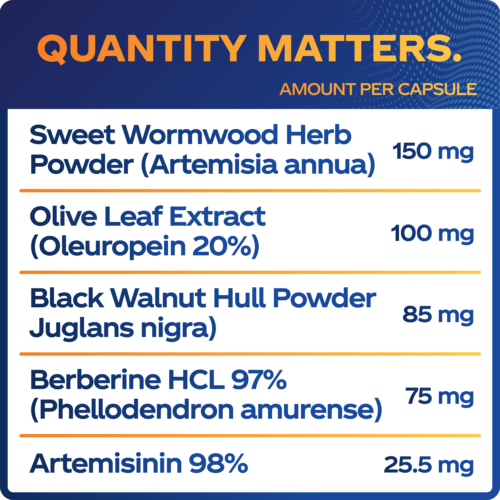 You are being redirected...