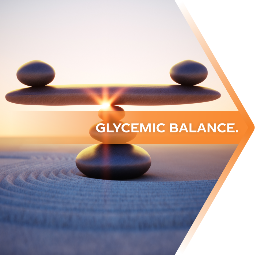 BioMatrix Support Glucose for Blood Sugar Control