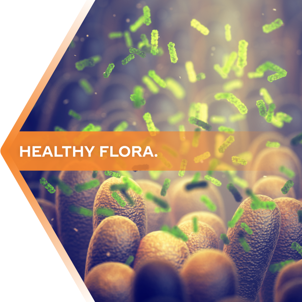 BioMatrix Support Biotic - Probiotic with S. boulardii