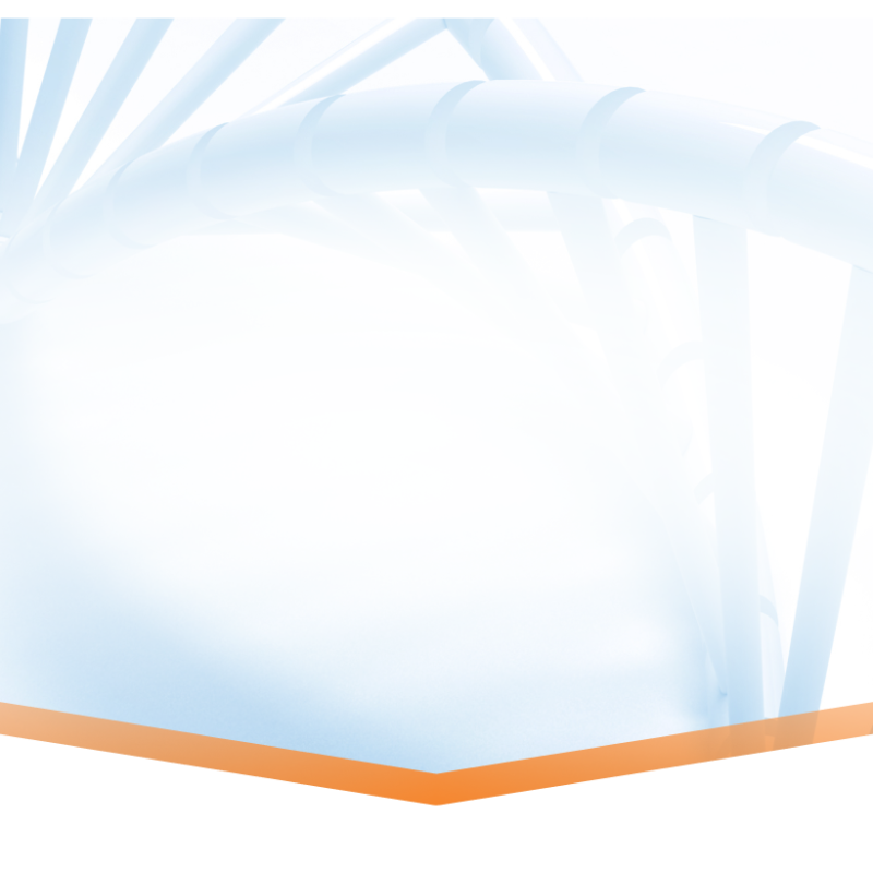BioMatrix Metabolism Supplements